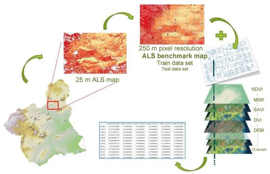 Improving Aboveground Forest Biomass Maps: From High-Resolution to ...