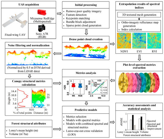Remote Sensing | Free Full-Text | Estimation of Forest Structural ...
