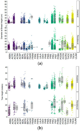 Remote Sensing | Free Full-Text | Machine Learning Techniques for Tree ...