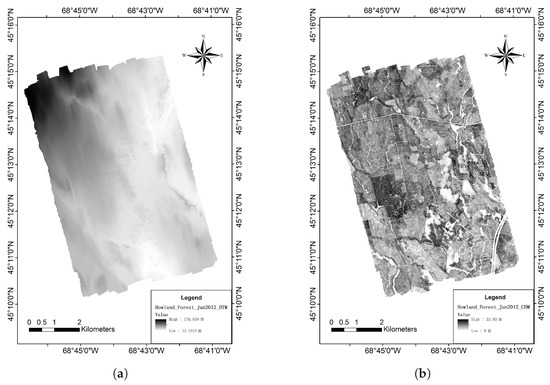 Potential of Forest Parameter Estimation Using Metrics from Photon Counting LiDAR Data in ...