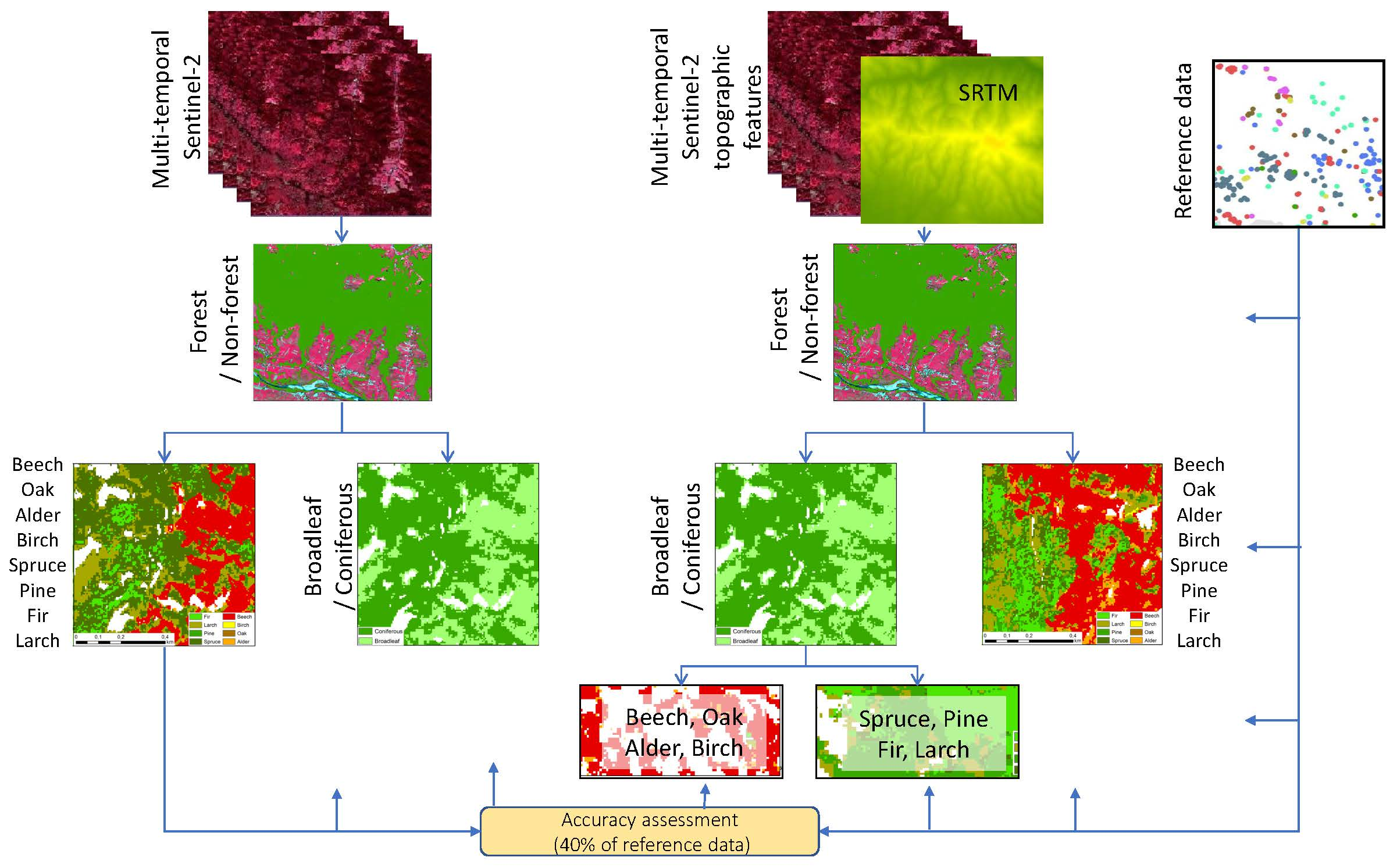 Remote Sensing Free Full Text Mapping Forest Type And Tree Species On A Regional Scale Using