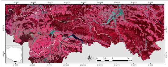Remote Sensing | Free Full-Text | Mapping Forest Type and Tree Species ...