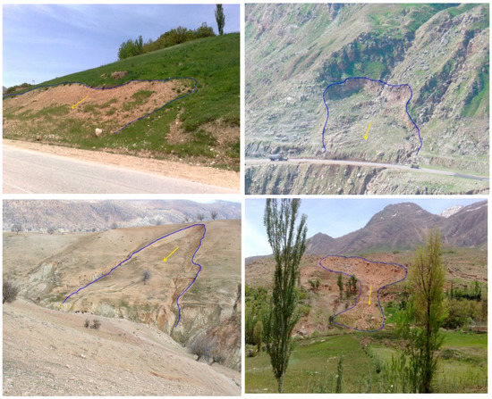 Shallow Landslide Prediction Using a Novel Hybrid Functional Machine Learning Algorithm