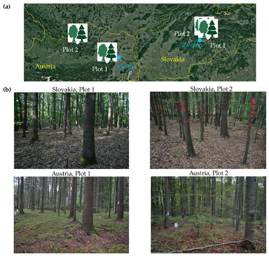 Remote Sensing | Free Full-Text | Terrestrial Structure from Motion Photogrammetry for Deriving ...