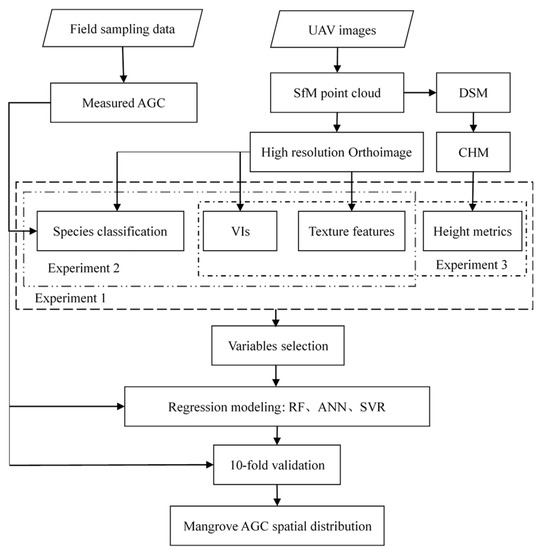 Remote Sensing | Free Full-Text | Remote Estimation of Mangrove ...