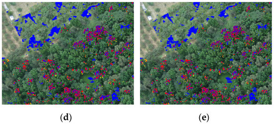 Remote Sensing | Free Full-Text | Weighted Background Suppression Target Detection Using Sparse ...