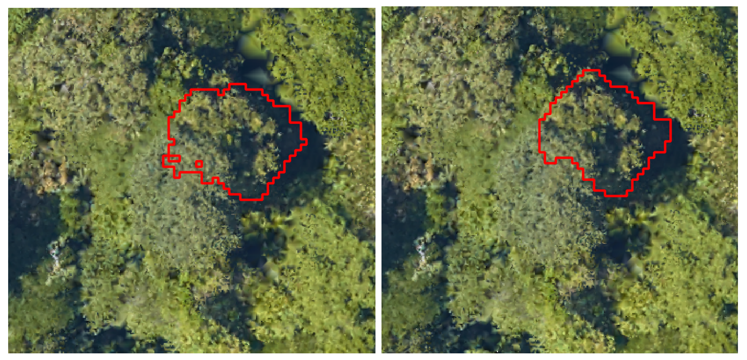 A Comparative Assessment of the Performance of Individual Tree Crowns ...