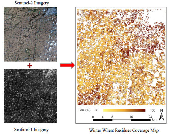 Remote Sensing Free Full Text Estimation Of Winter Wheat Residue Coverage Using Optical And