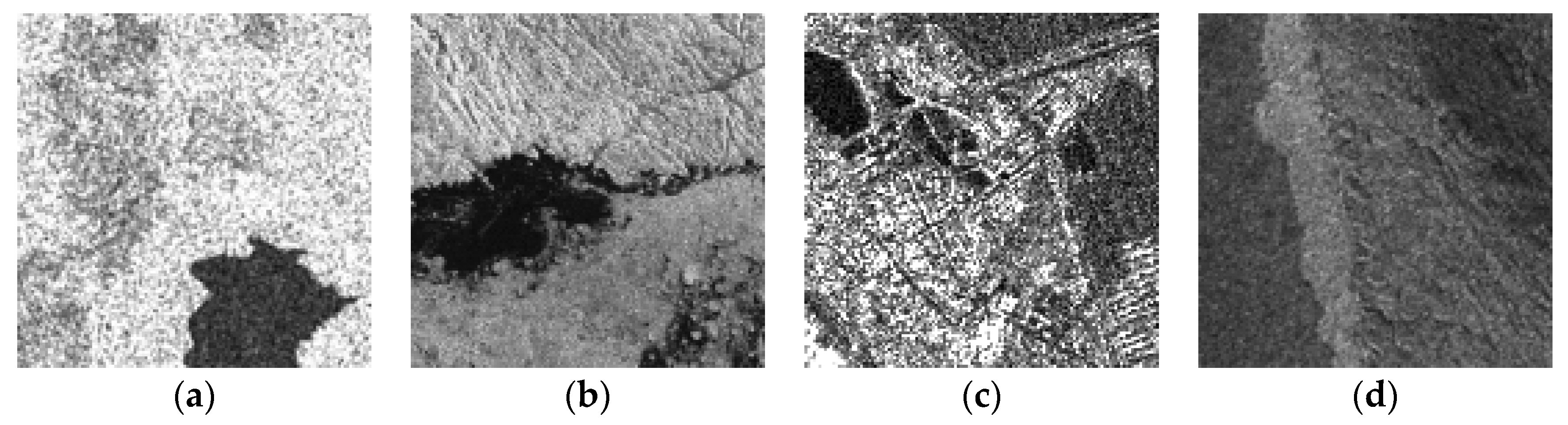 An Energy-Based SAR Image Segmentation Method with Weighted Feature