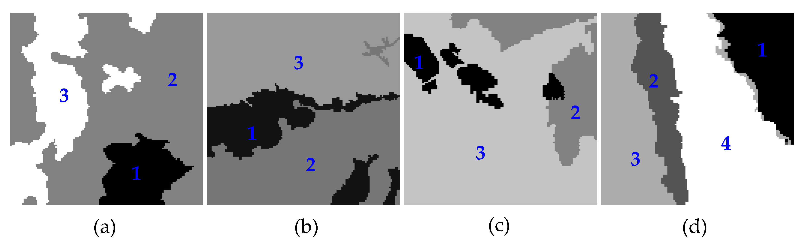 An Energy-Based SAR Image Segmentation Method with Weighted Feature