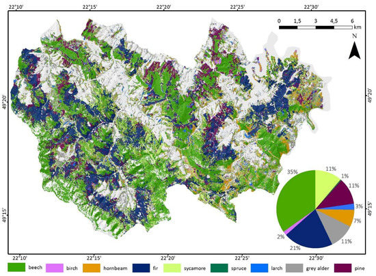 Forest Stand Species Mapping Using the Sentinel-2 Time Series