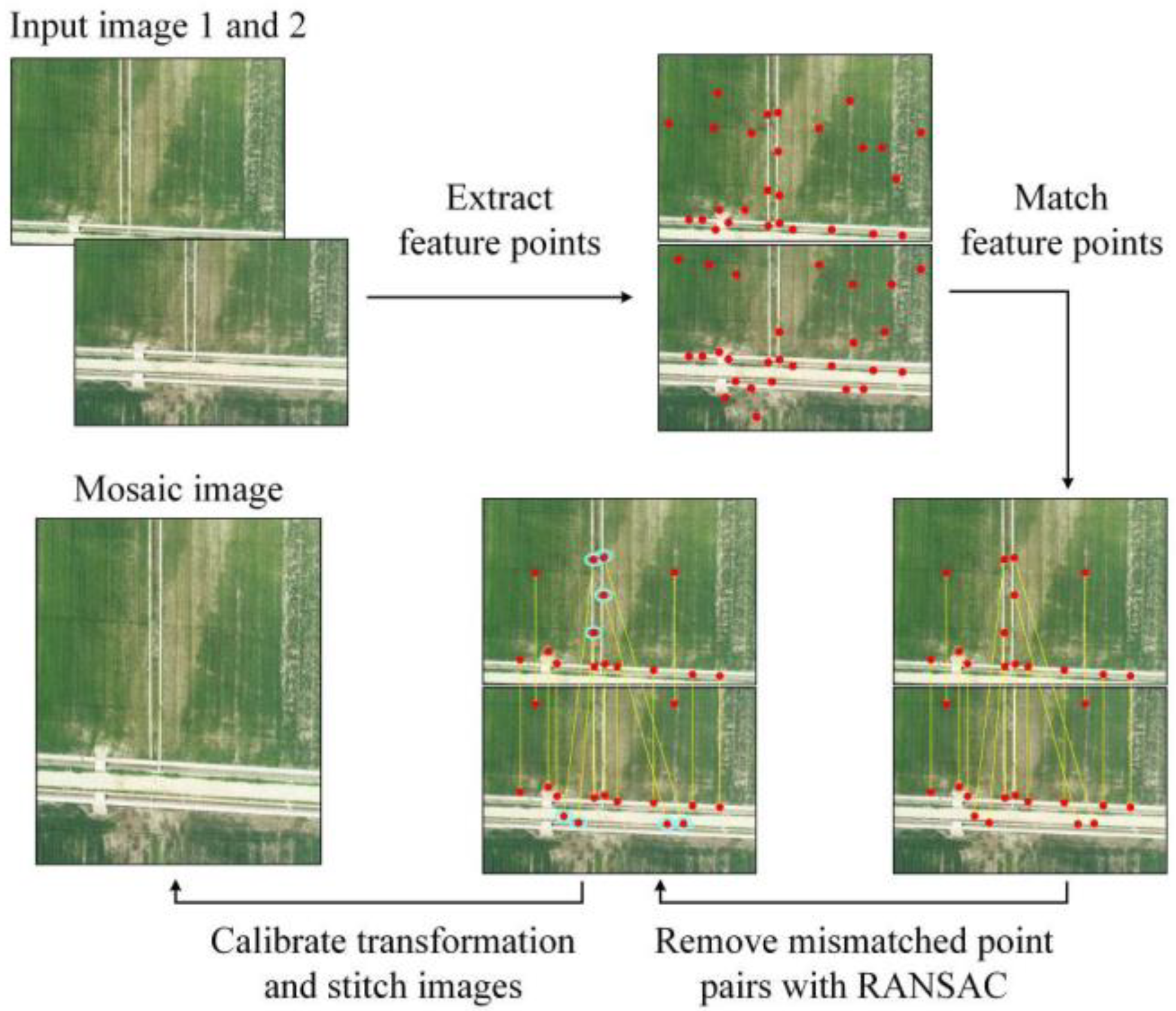Rapid Mosaicking of Unmanned Aerial Vehicle (UAV) Images for Crop Growth Monitoring Using the ...