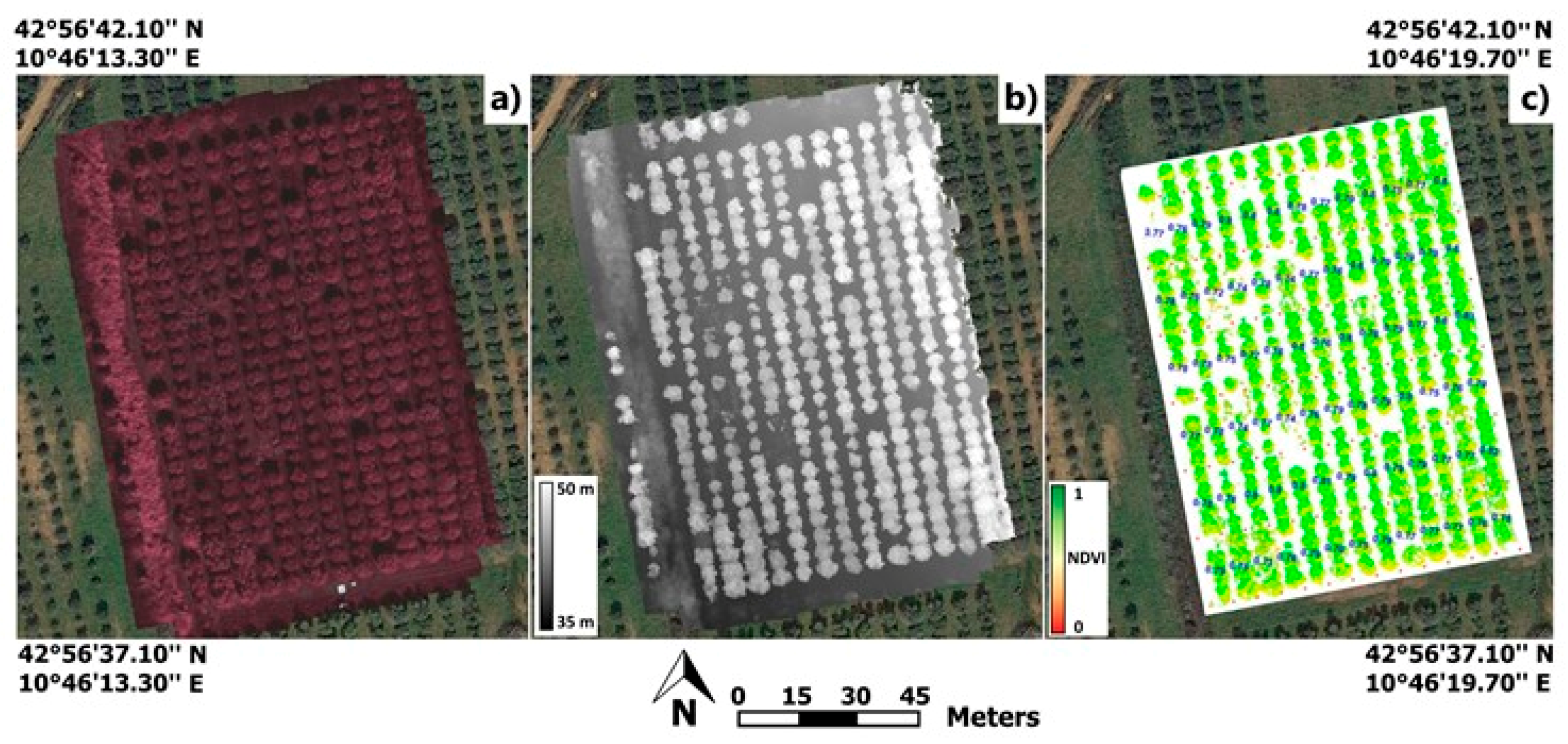 Remotely Sensed Vegetation Indices To Discriminate Field Grown Olive Cultivars