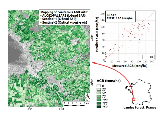 Remote Sensing | Free Full-Text | Estimation and Mapping of Forest ...