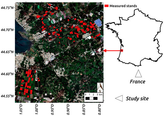 Remote Sensing | Free Full-Text | Estimation and Mapping of Forest ...