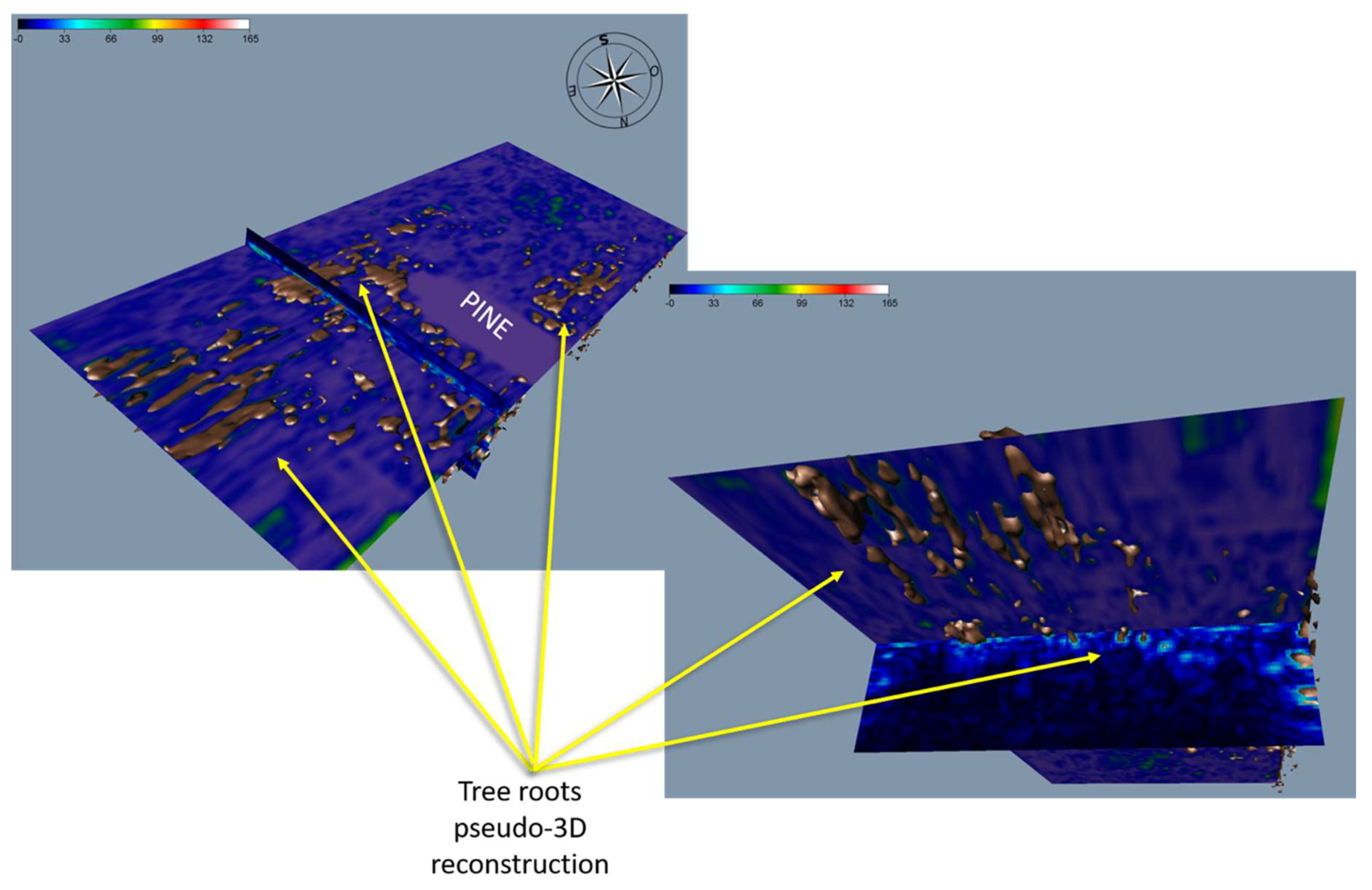 A posteriori GPR Evaluation of Tree Stability: A Case Study in Rome (Italy)