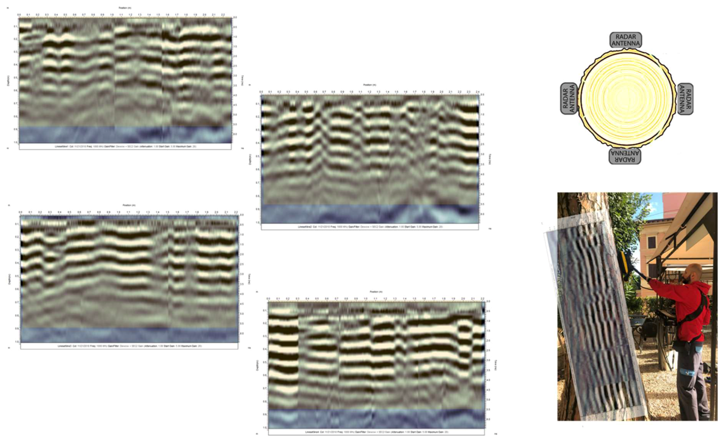 A posteriori GPR Evaluation of Tree Stability: A Case Study in Rome (Italy)