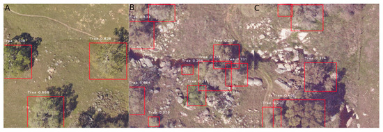 Individual Tree-Crown Detection in RGB Imagery Using Semi-Supervised ...