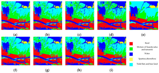 Remote Sensing | Free Full-Text | A Convolutional Neural Network with Fletcher–Reeves Algorithm ...