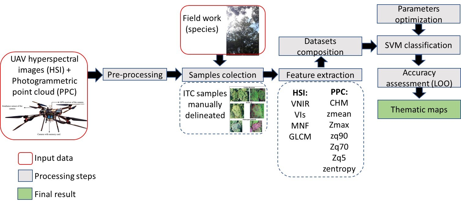 Remote Sensing Free Full Text Tree Species Classification In A