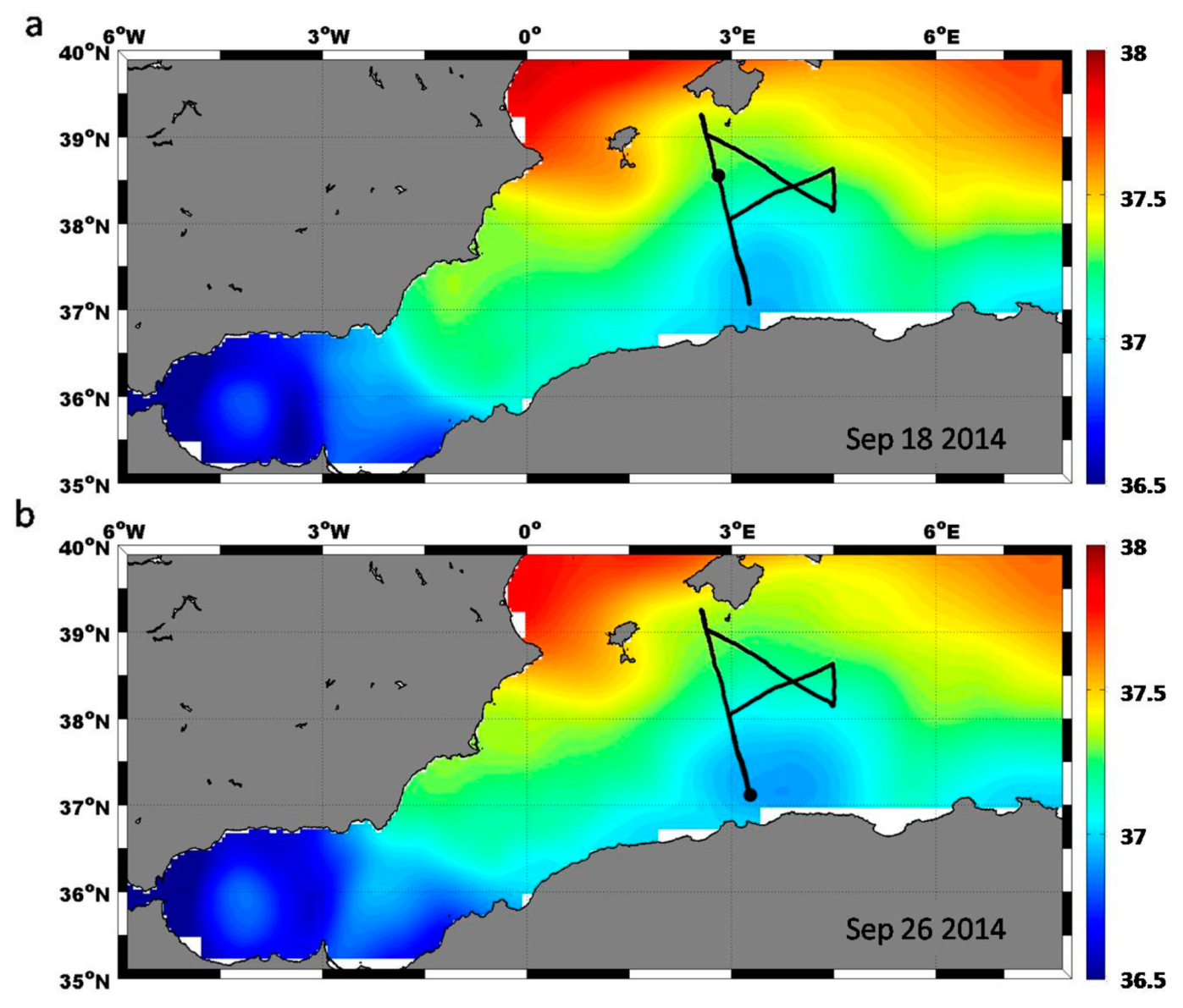 In Situ and Satellite Sea Surface Salinity in the Algerian Basin ...