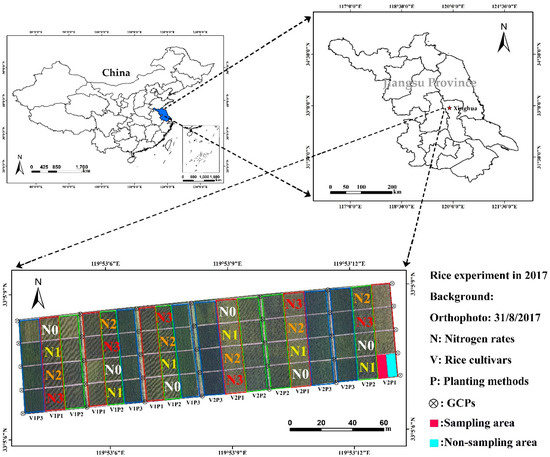 Remote Sensing | Free Full-Text | Estimation of Rice Growth Parameters ...