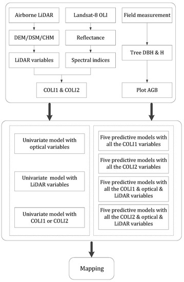 Deep Learning Based Retrieval of Forest Aboveground Biomass from ...