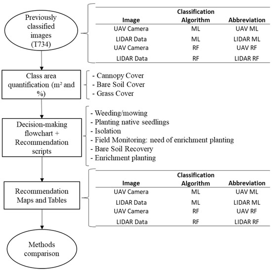 Management Recommendation Generation for Areas Under Forest Restoration ...