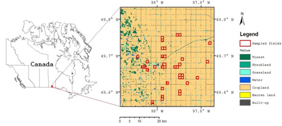 Remote Sensing | Free Full-Text | Evaluation of Vegetation Biophysical Variables Time Series ...