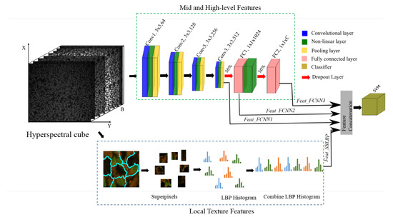 Multi-Resolution Weed Classification via Convolutional Neural Network and Superpixel Based Local ...