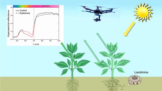 Remote Sensing | Free Full-Text | Remote Sensing of Explosives-Induced ...