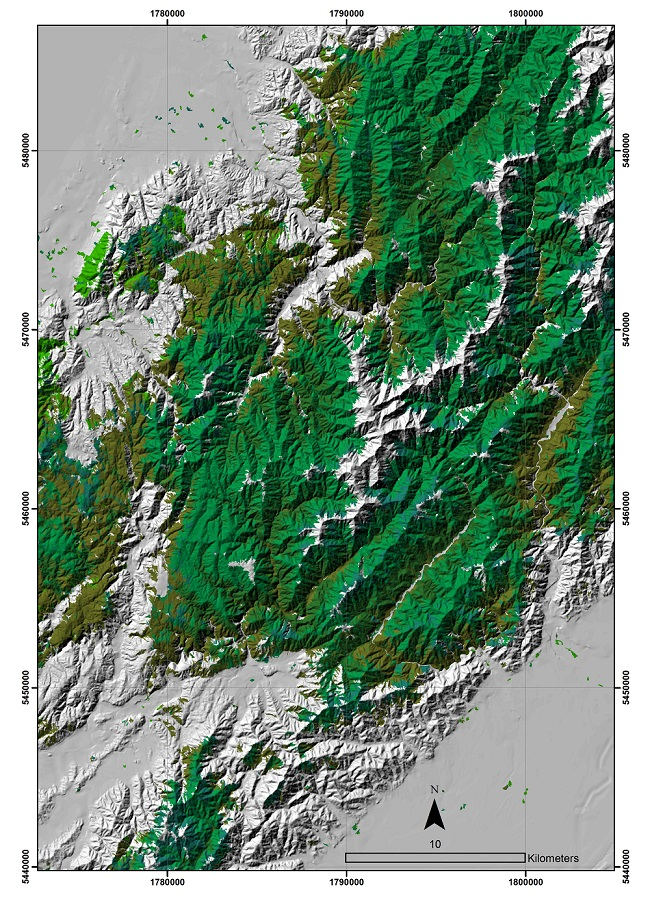 Remote Sensing | Free Full-Text | Mapping Physiognomic Types of ...