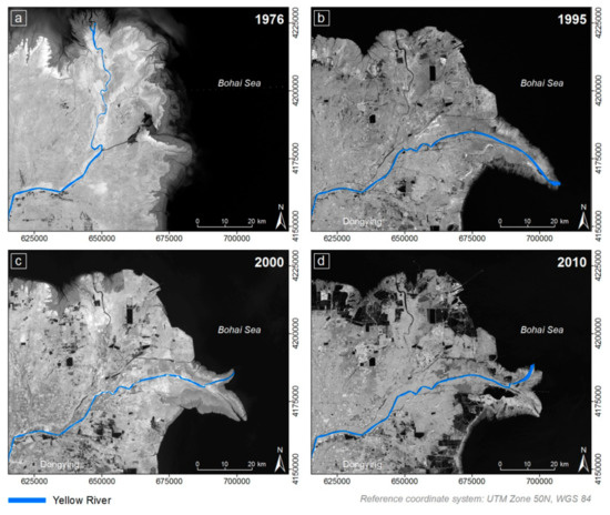 Remote Sensing for the Quantification of Land Surface Dynamics in Large ...