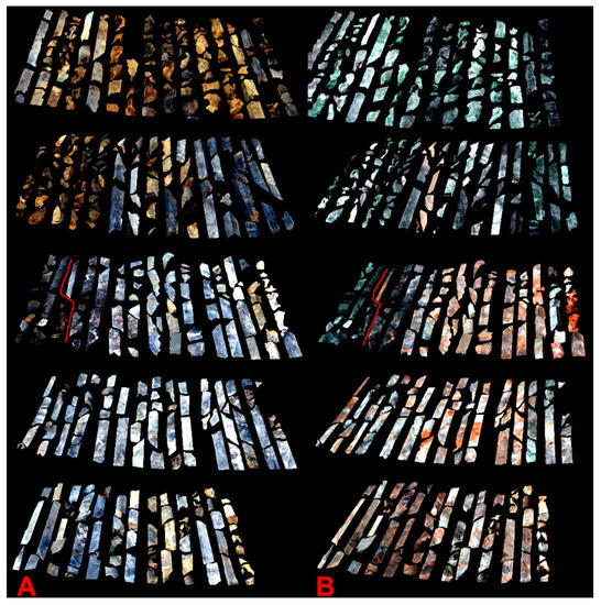 Remote Sensing | Free Full-Text | Integrated Hyperspectral and ...