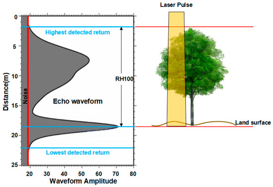 Estimating Forest Canopy Height Using MODIS BRDF Data Emphasizing Typical-Angle Reflectances