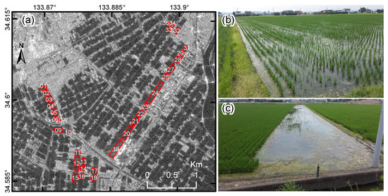 Remote Sensing | Special Issue : Remote Sensing for Post-disaster Phase ...