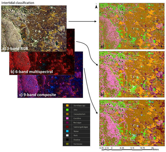 Unmanned Aerial Vehicles (UAVs) for Monitoring Macroalgal Biodiversity ...
