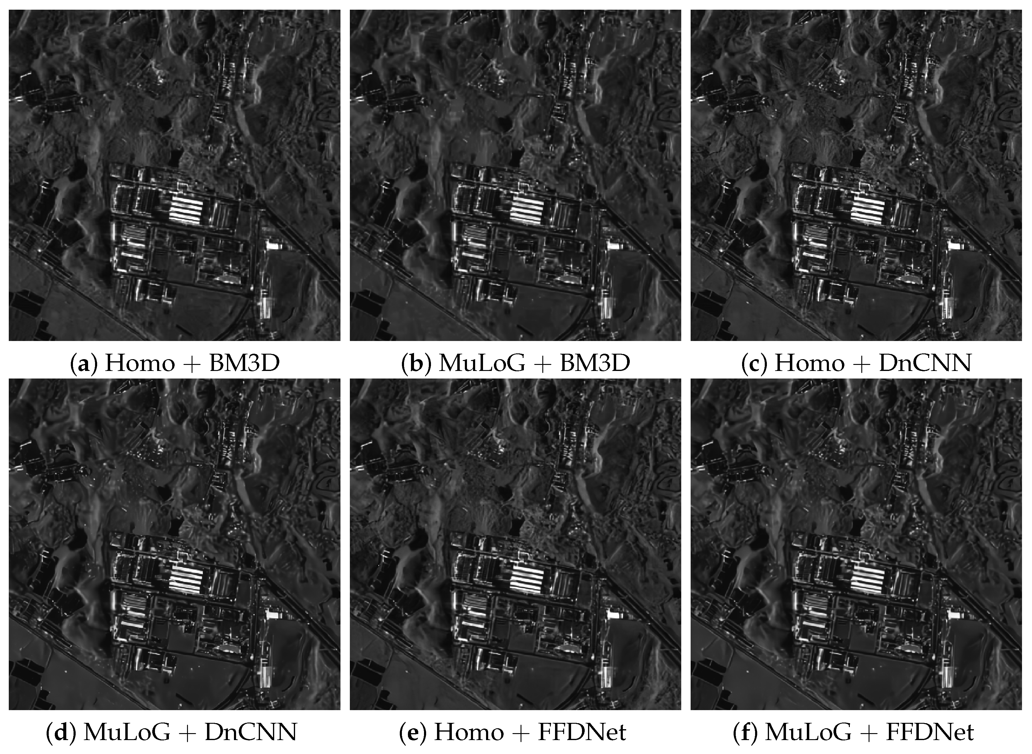 A Filter for SAR Image Despeckling Using Pre-Trained Convolutional Neural Network Model