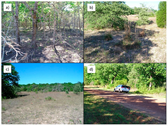 Functional Phenology of a Texas Post Oak Savanna from a CHRIS PROBA ...