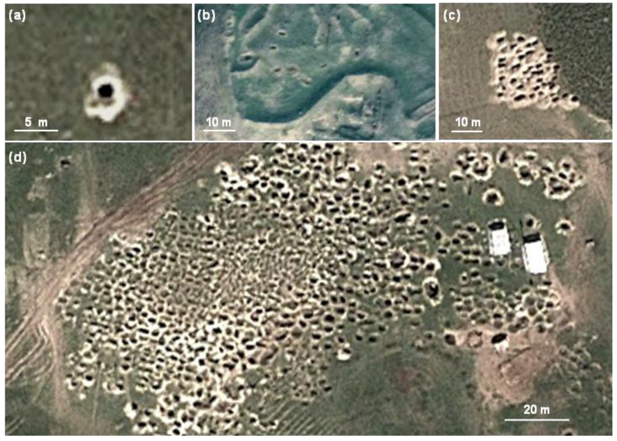 Detection of Archaeological Looting from Space: Methods, Achievements ...