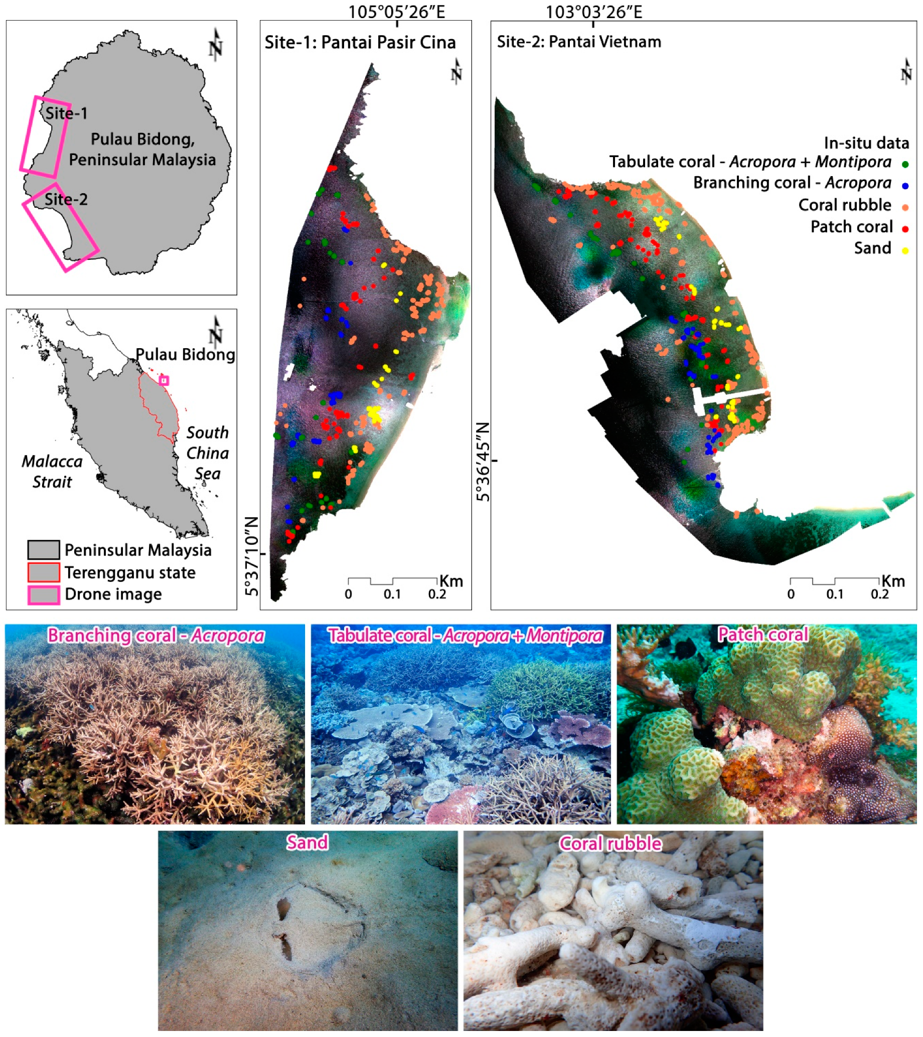 Remote Sensing | Free Full-Text | Coral Reef Mapping of UAV: A Comparison of Sun Glint ...