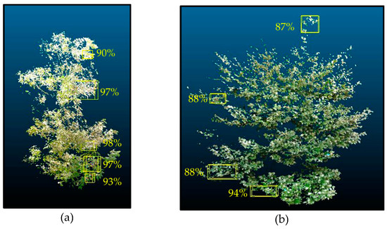 Leaf Segmentation Based on k-Means Algorithm to Obtain Leaf Angle ...
