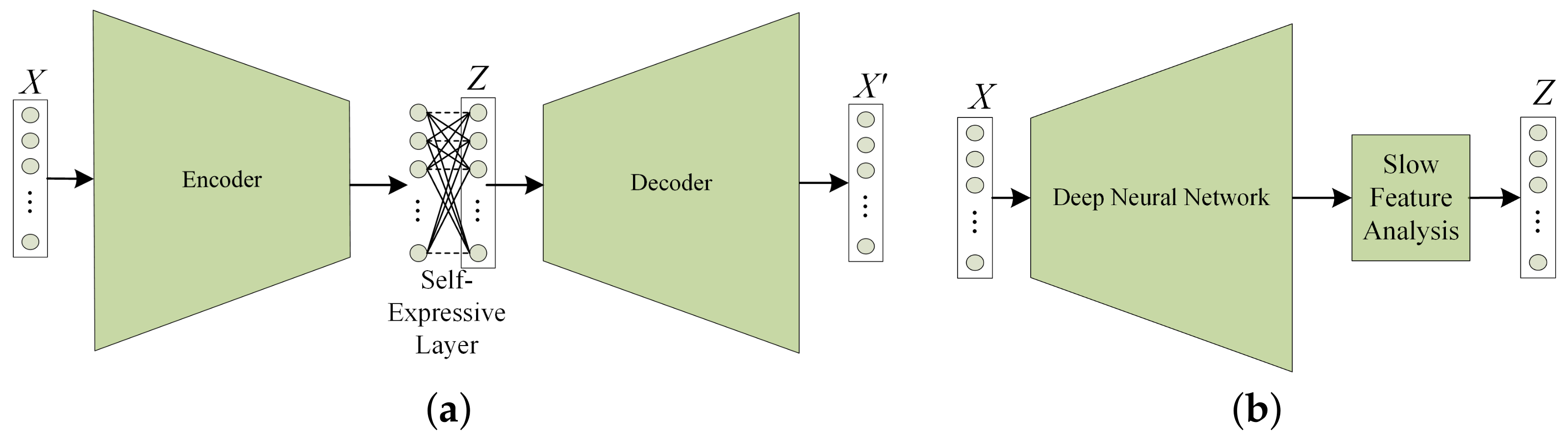 Differentially Deep Subspace Representation for Unsupervised Change Detection of SAR Images