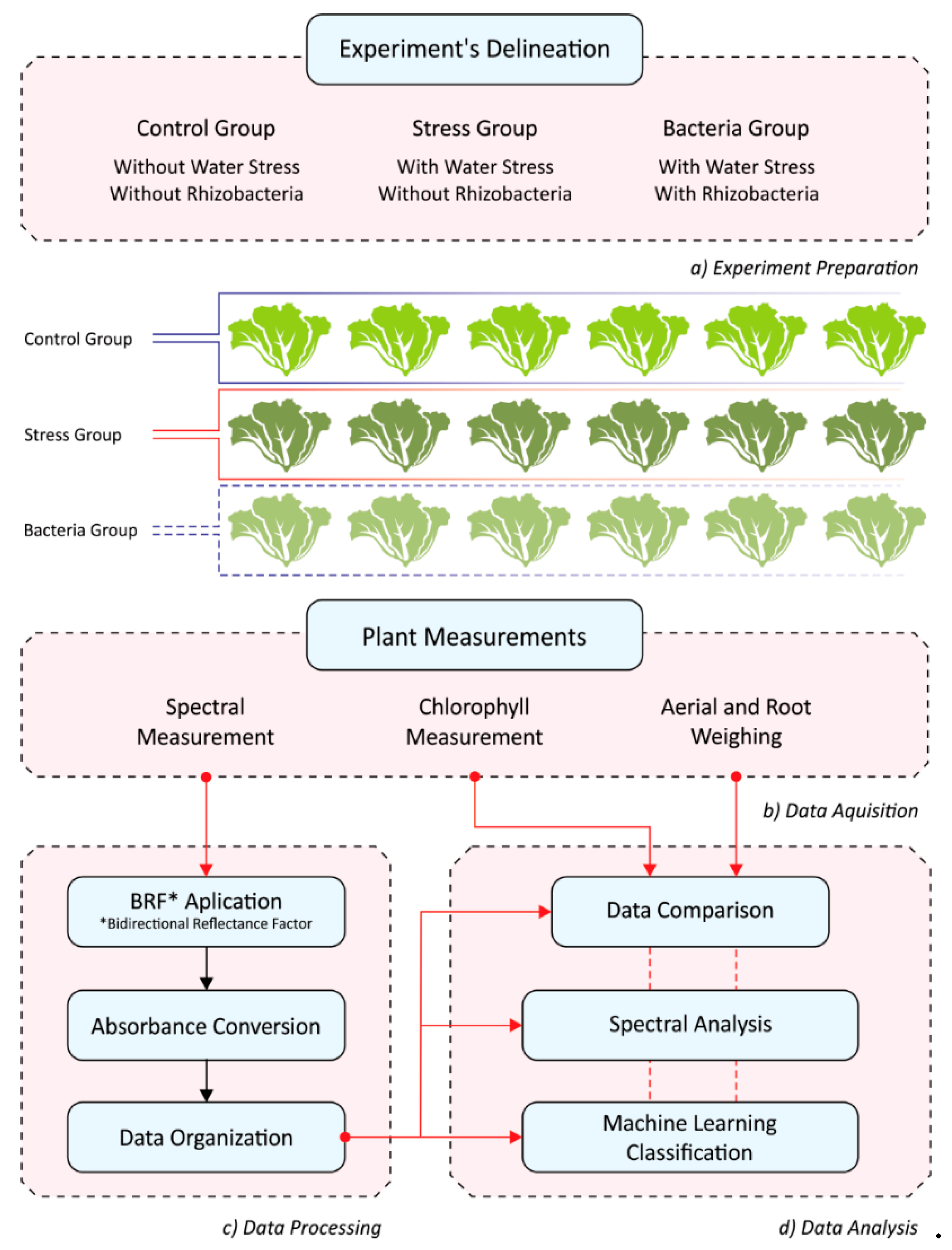 Modeling Hyperspectral Response of Water-Stress Induced Lettuce Plants Using Artificial Neural ...