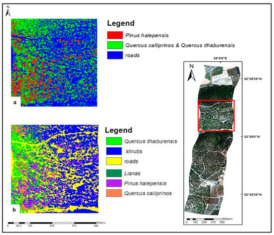 Remote Sensing | Special Issue : Monitoring Forest Change with Remote ...