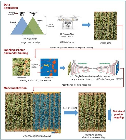 Remote Sensing Free Full Text A Deep Learning Semantic Segmentation Based Approach For Field