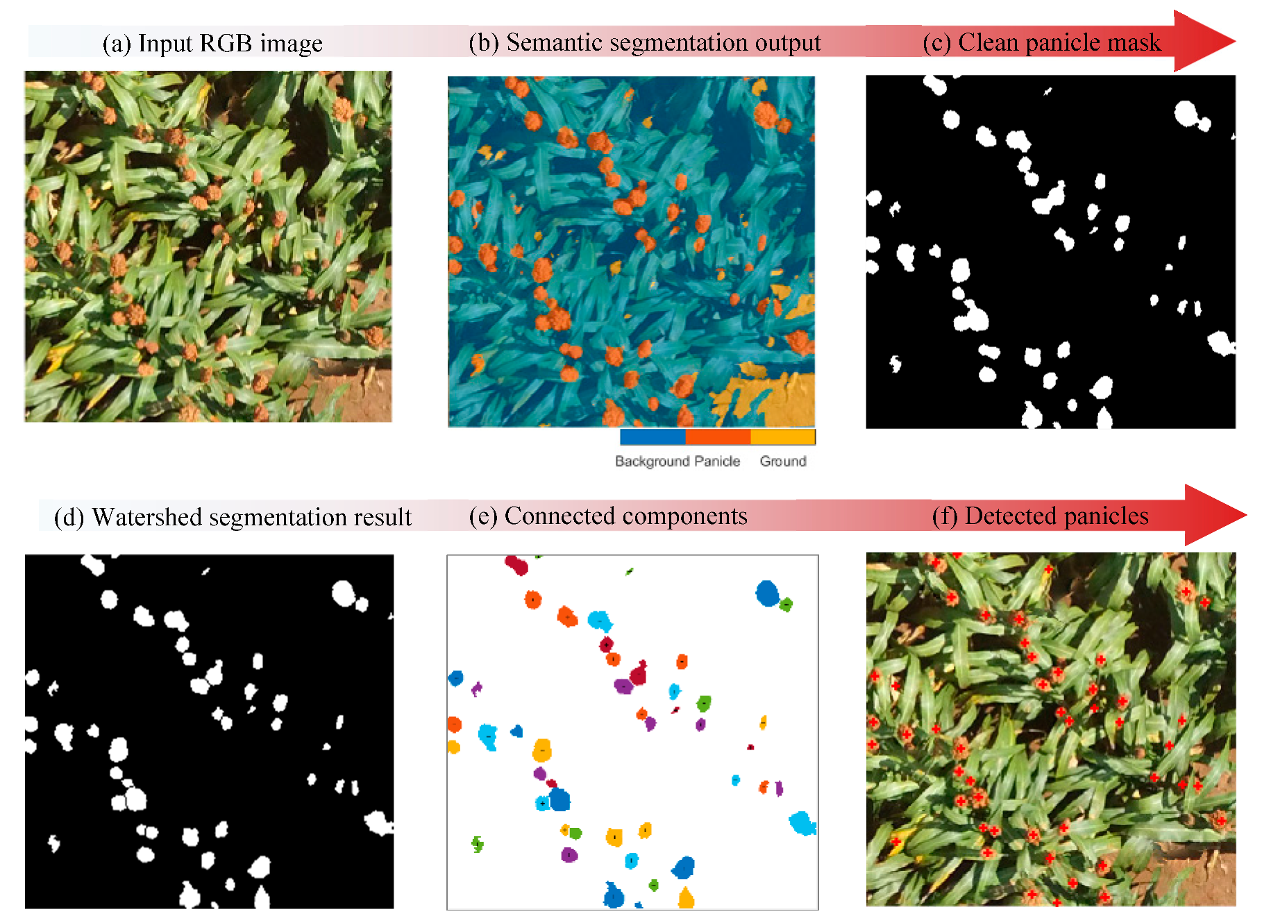 A Deep Learning Semantic Segmentation-Based Approach for Field-Level Sorghum Panicle Counting