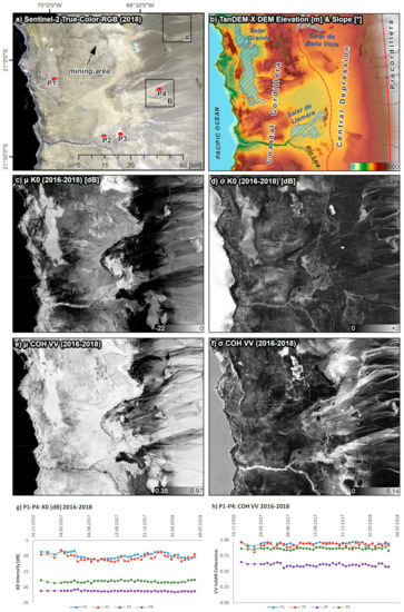 Assessing Spatiotemporal Variations of Sentinel-1 InSAR Coherence at ...