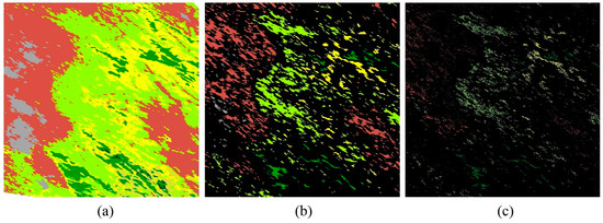 Remote Sensing | Free Full-Text | Automatic Land-Cover Mapping using ...
