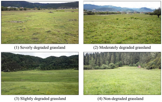 Remote-Sensing Monitoring of Grassland Degradation Based on the GDI in ...